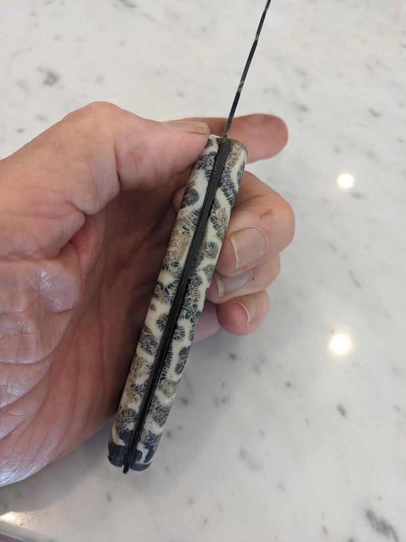 Brontosaurus Tooth Knife - Etsy