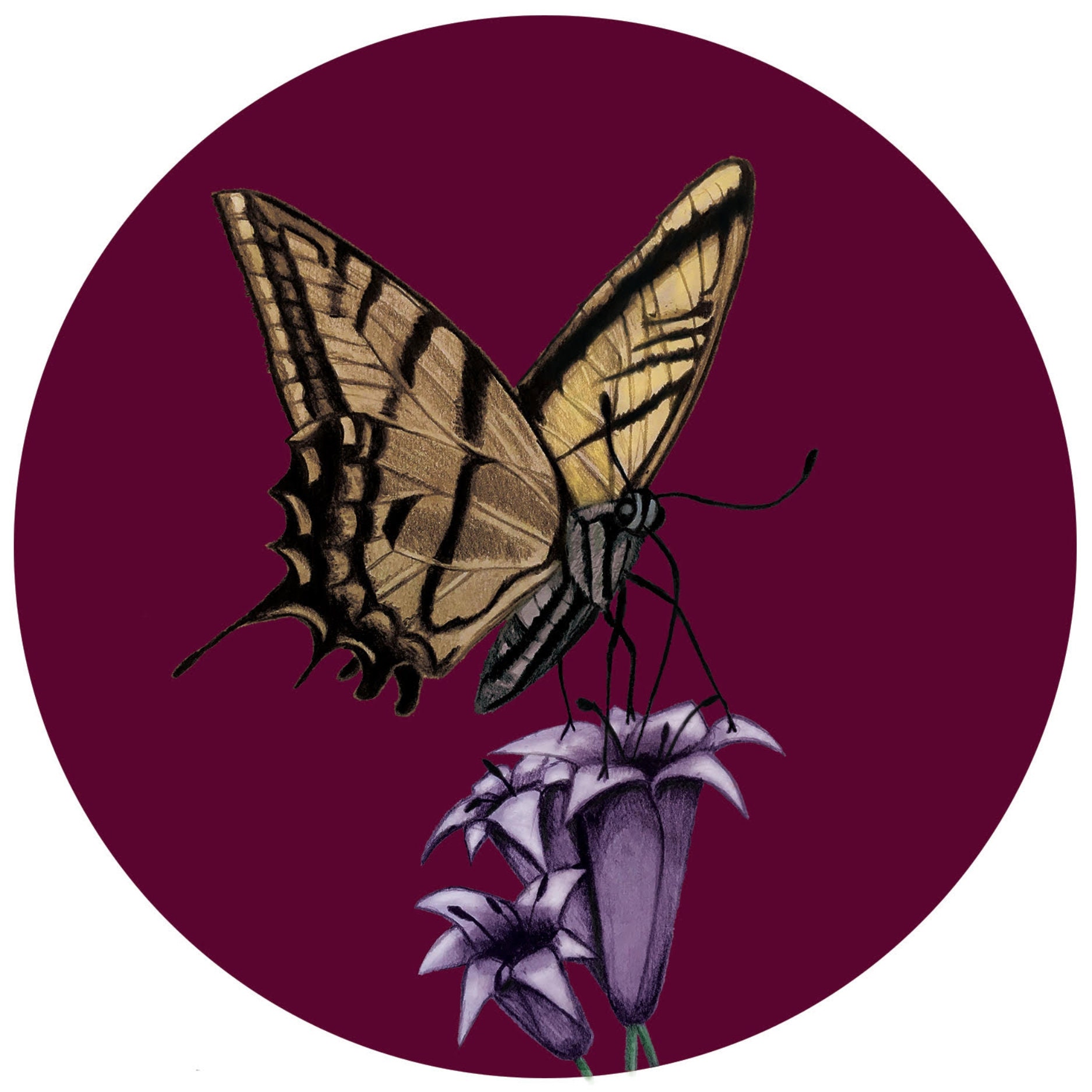 Yellow Swallowtail Butterfly Art Print - Etsy