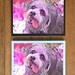 Kaidee Dog Tongue Out Digital Art Print Animal Art for Animal Lovers ...