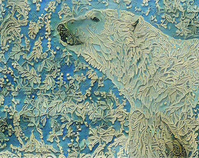 ACEO ATC Polar Bear Blue Lace Style Art Card Animal Art - Gift Idea for ...
