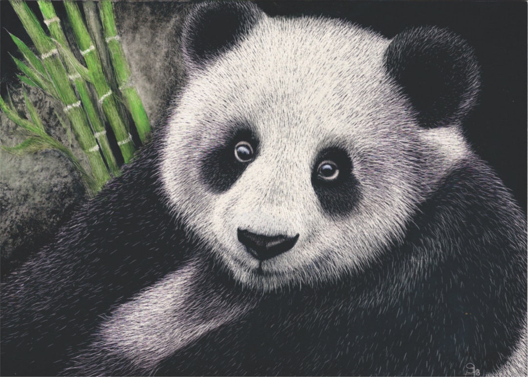 ACEO ATC Scratchboard Panda - Gift Idea for Animal Lovers - Cheerful ...
