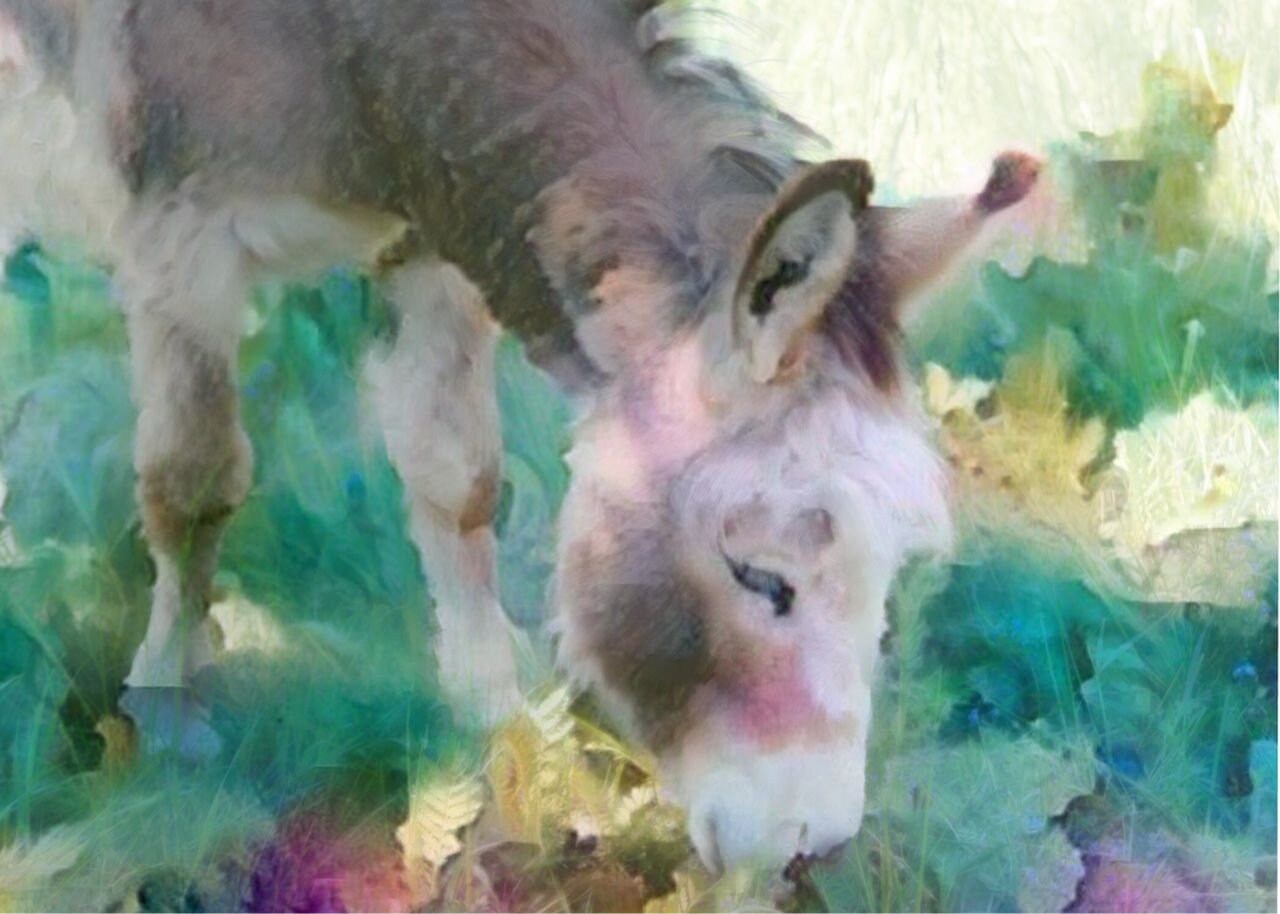 Flower Farm Duncan Donkey Art Print animal art for animal | Etsy