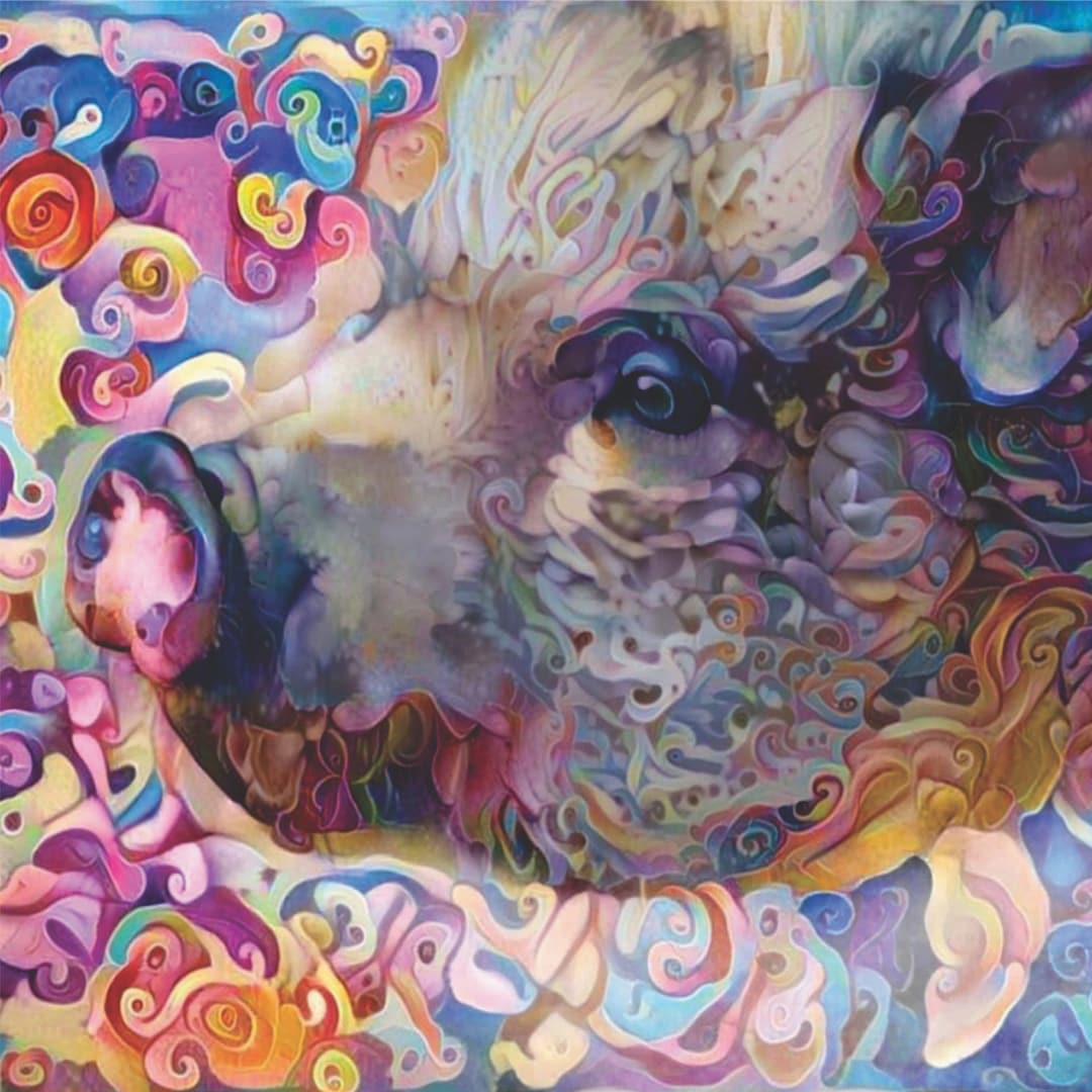 Pig Art Print, Harvey the Pig, Digital Painting Gift Idea for Animal ...