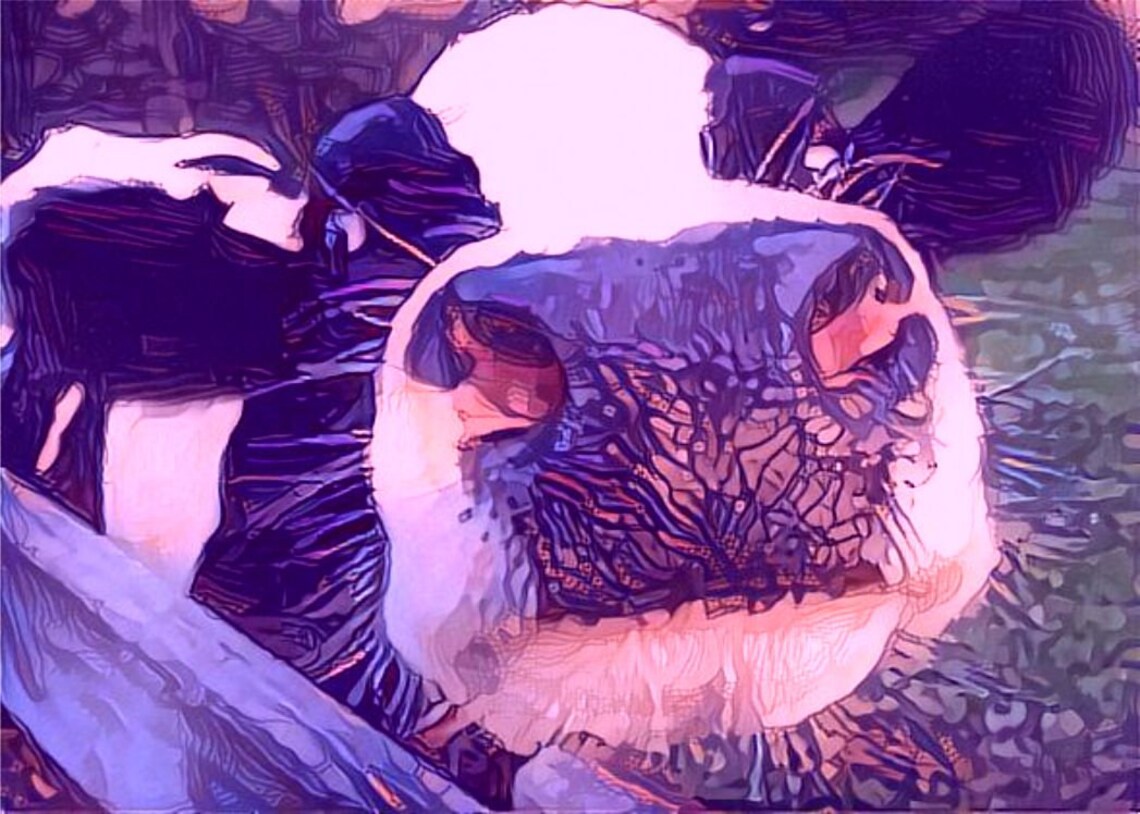 Hello There Happy Cow Nose Art Print Animal Art for Animal | Etsy