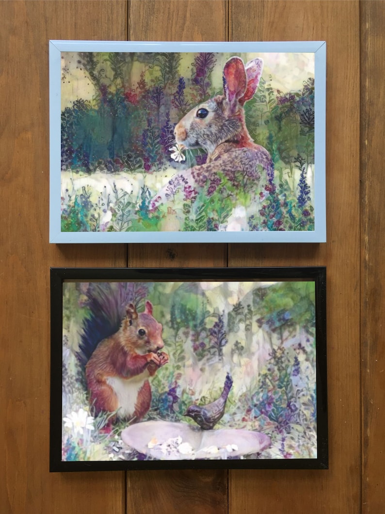 Cottontail Rabbit Wildlife Art Print Gift Idea for Nature - Etsy