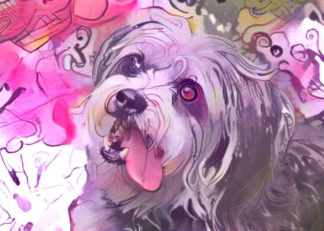 Kaidee Dog Tongue Out Digital Art Print Animal Art for Animal Lovers ...