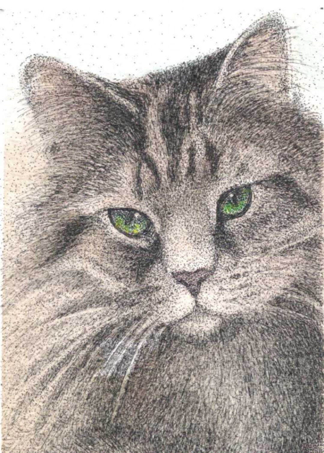 Rootbeer - Soft Watercolour/pen-and-ink Cat Art Print Animal Art for ...