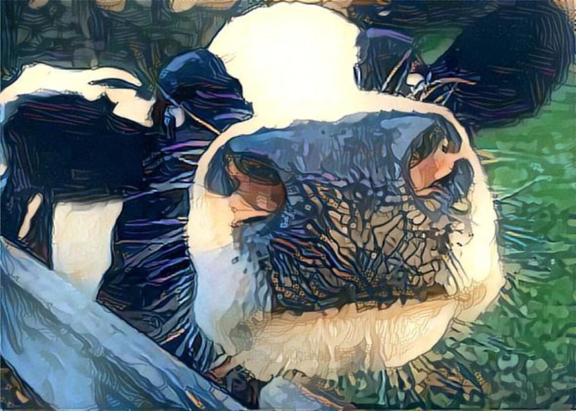 Hello There Happy Cow Nose Art Print Animal Art for Animal | Etsy