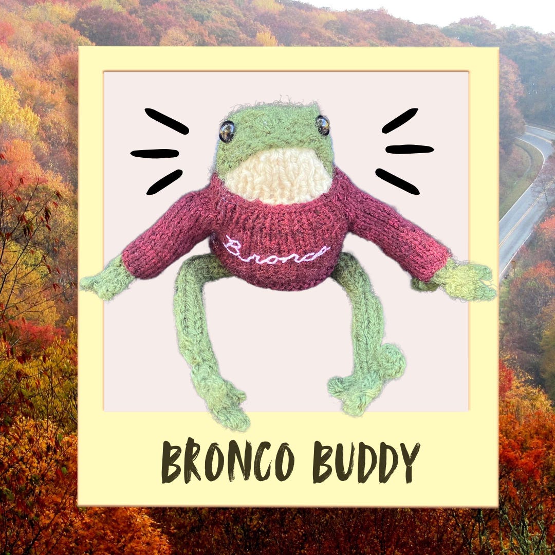 Bronco Buddy Knit Frog - Etsy