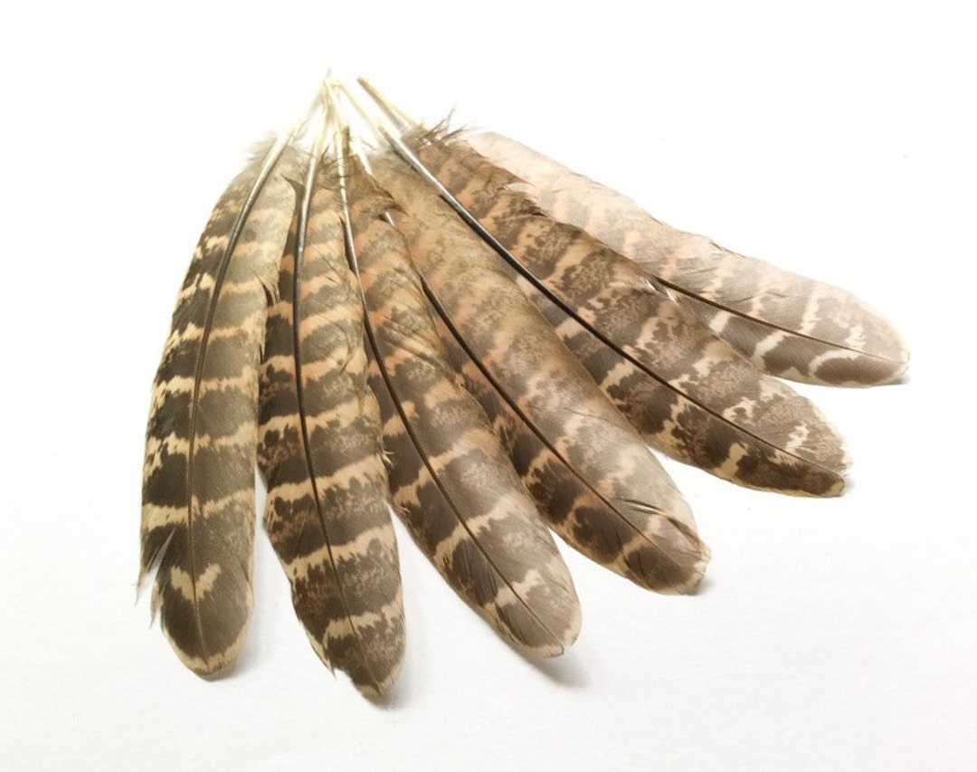 Feder Fasan Natur Ohrringe Federn Millinery Schmuck - Etsy.de