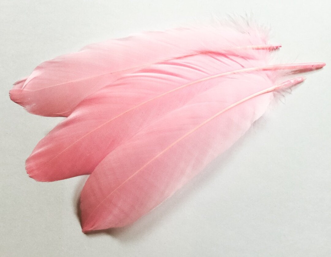 Feathers Duck Quills Pink Jewelry Making Feathers Millinery Jewelry ...