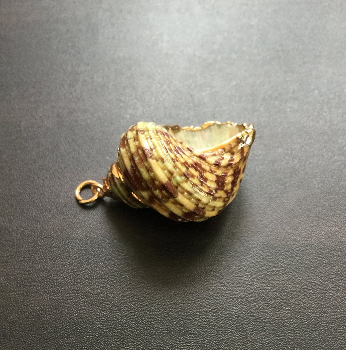 Natural Sea Shell Charm | Gold Edge Seashell Spiral Jewelry Charm ...