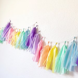 Tassel Garland Tassel Banner Rainbow Tassel Garland Rainbow Party Decor ...