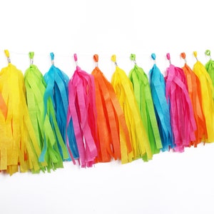 Rainbow Tassel Garland Tassel Banner Rainbow Banner - Etsy