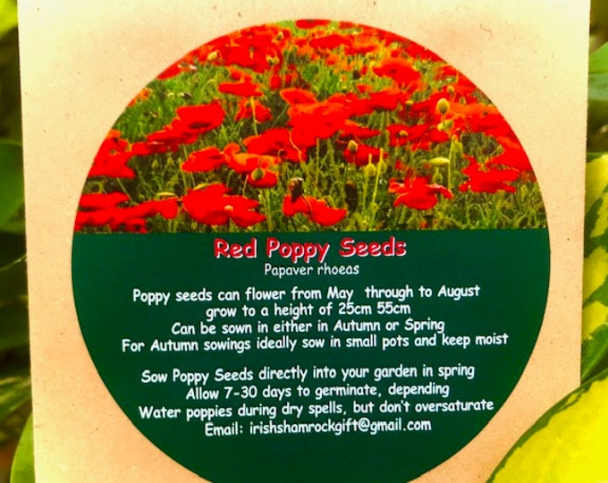 Large plant Me Recycled Pink Seed Paper Hearts - Etsy