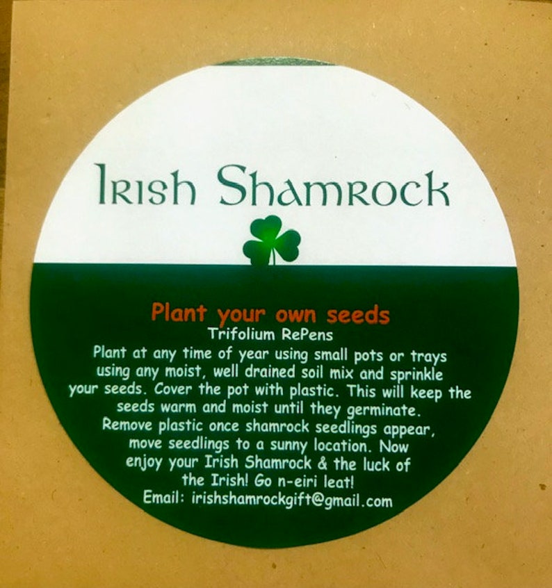 Irish Shamrock Seed Packet. Grow Your Own Lucky Clover With - Etsy