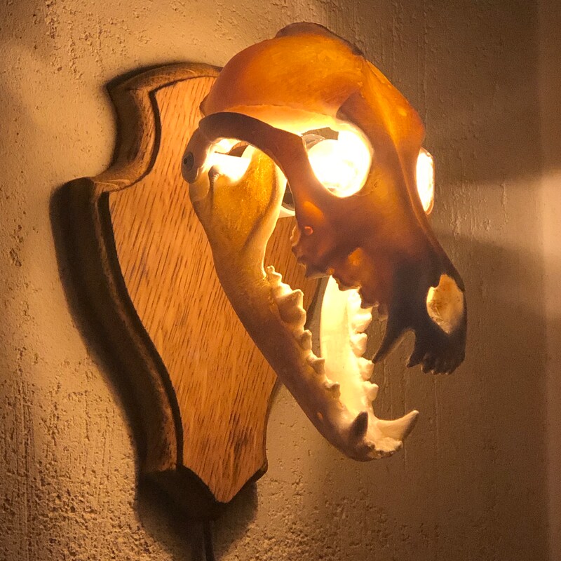 Skull Wall Sconce - Etsy