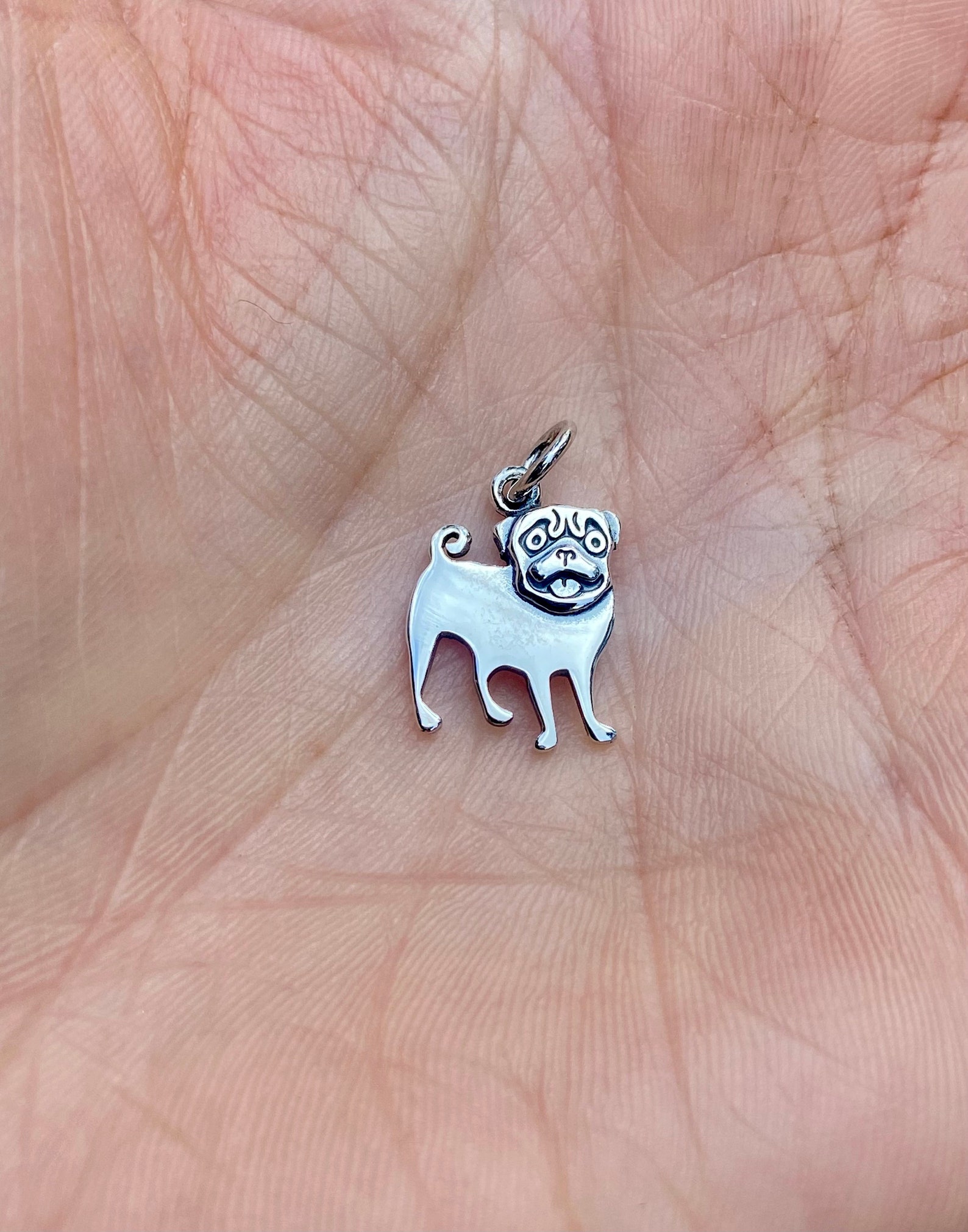 Sterling Silver Pug Necklace, Dog Necklace for Woman, Veterinarian Gift ...