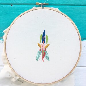 Squid Dissection Kits - Etsy