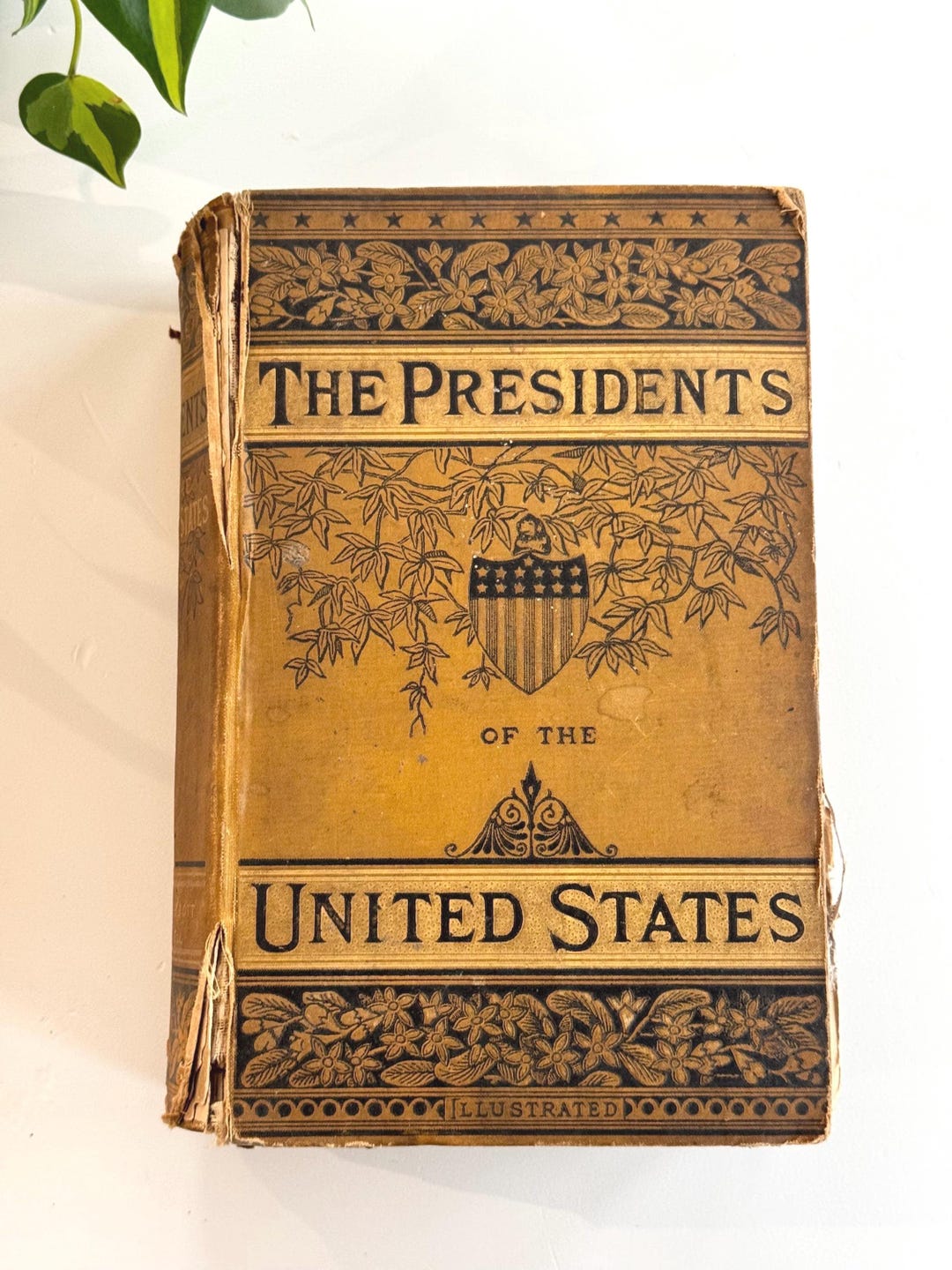 Thepresidents of the United States Hard Cover Book- the Lives of the US ...