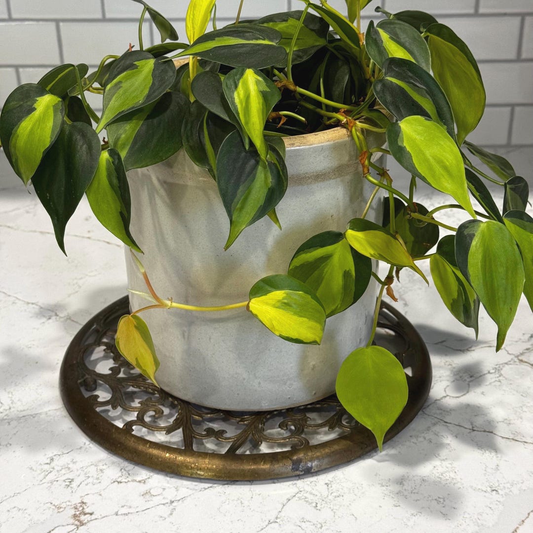 Vintage Brass Trivet Plant Stand- 11” Round Metal Solid Brass Filigree ...