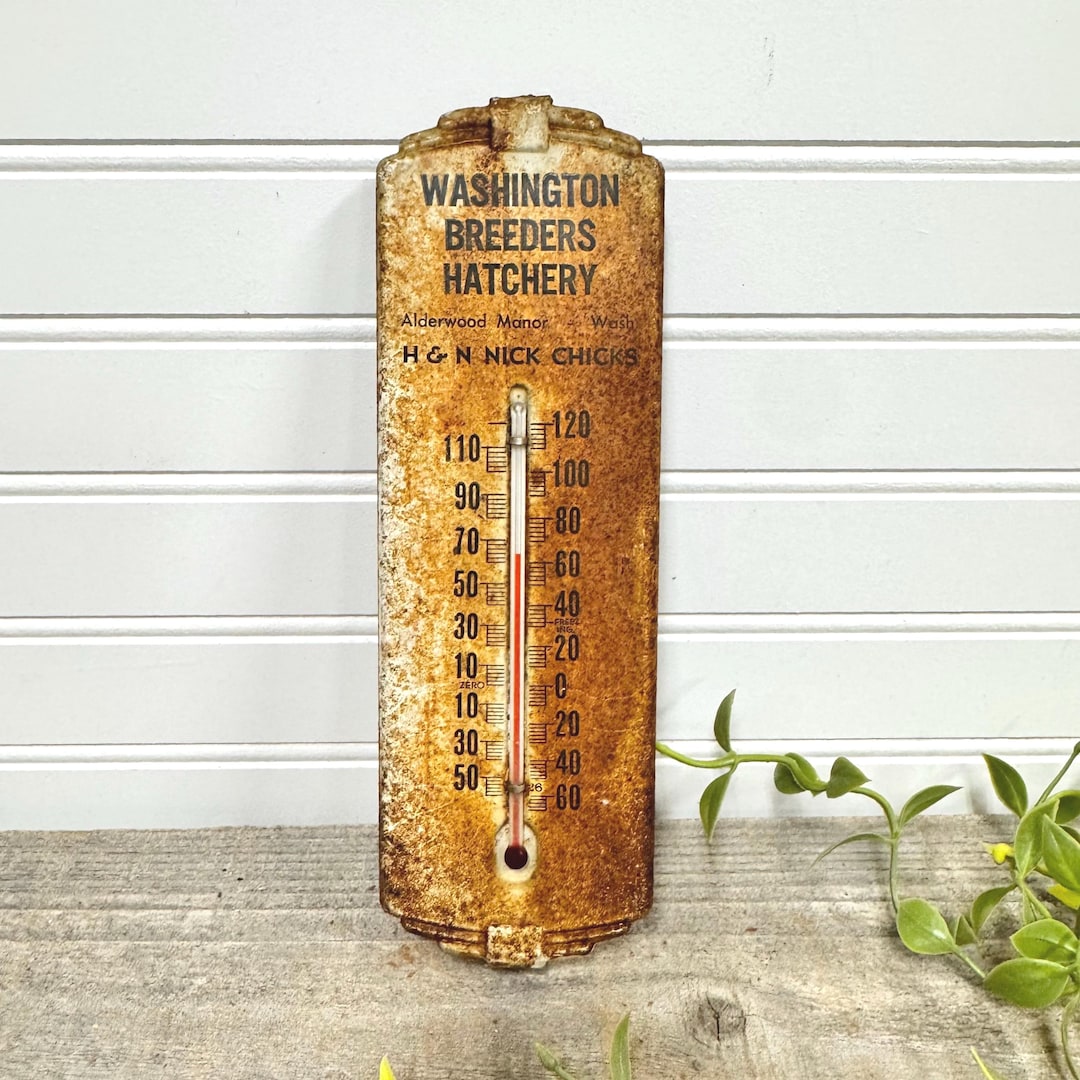 Vintage Metal Advertising Thermometer Washington Breeders Hatchery ...
