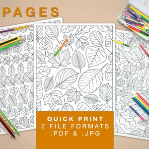 Printable Coloring Book Page - Fall Leaves Edition - Etsy