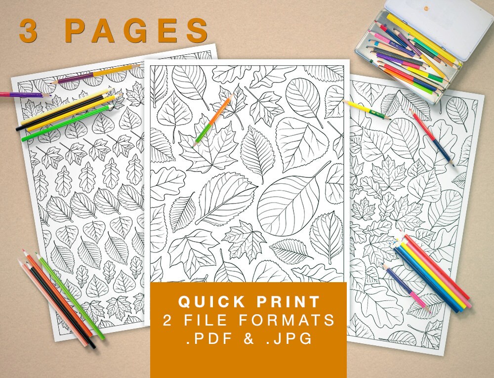 Printable Coloring Book Page Fall Leaves Edition - Etsy
