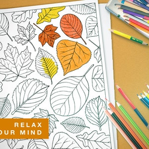 Printable Coloring Book Page - Fall Leaves Edition - Etsy