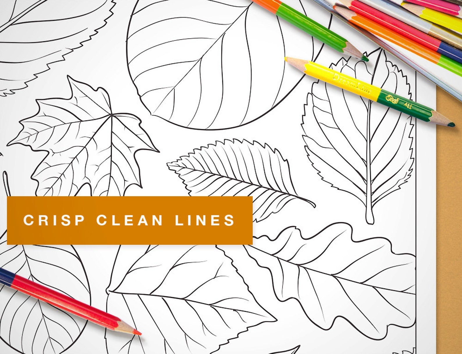 Printable Coloring Book Page - Fall Leaves Edition - Etsy