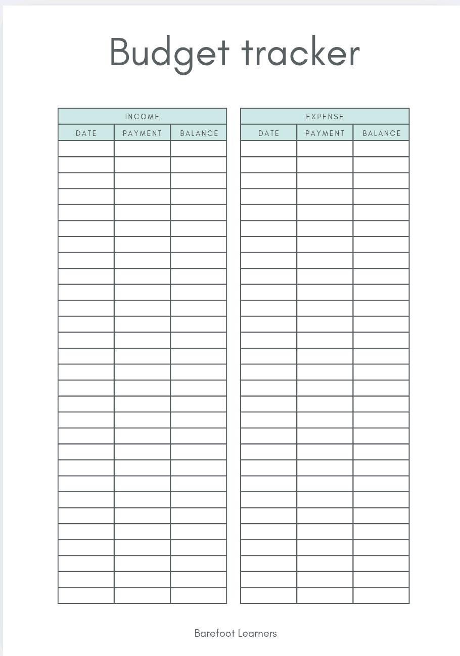 Simple Budget Tracker: Personal Finance Printable - Etsy