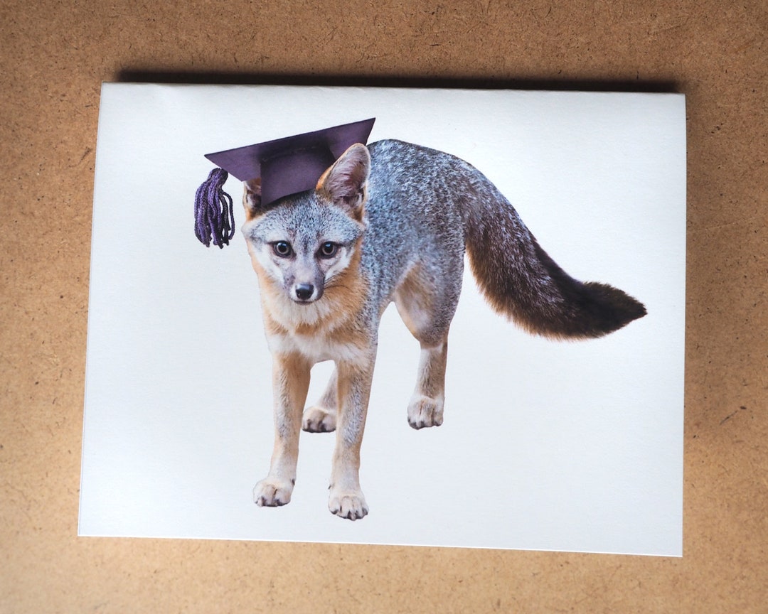 Fox Printable Graduation Card Digital Graduate Fox Card - Etsy