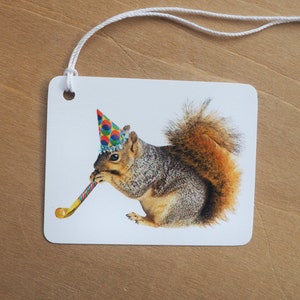 10 Party Squirrel Gift Tags - Etsy