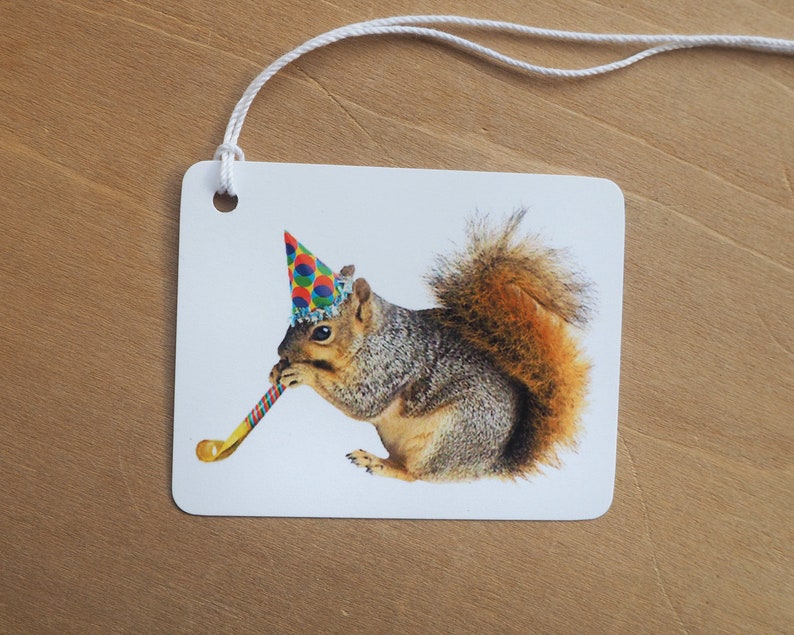 10 Party Squirrel Gift Tags - Etsy