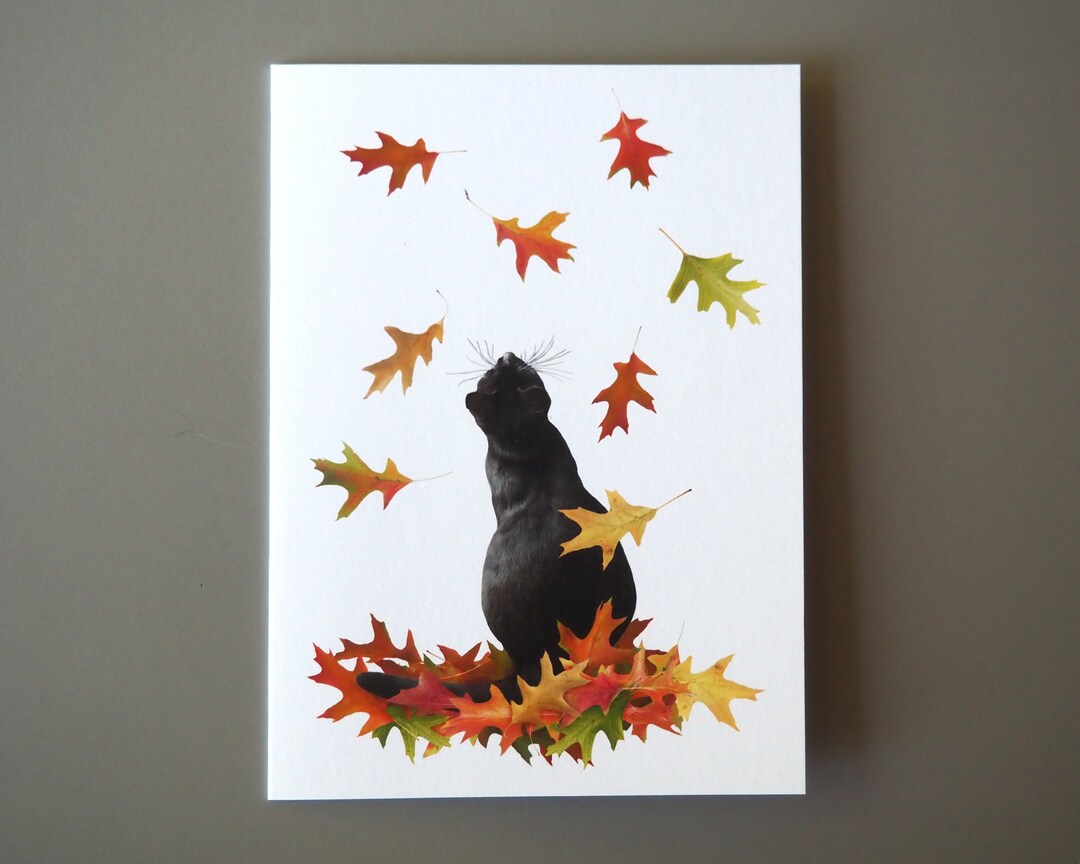 Black Cat Fall Leaves Card - Etsy