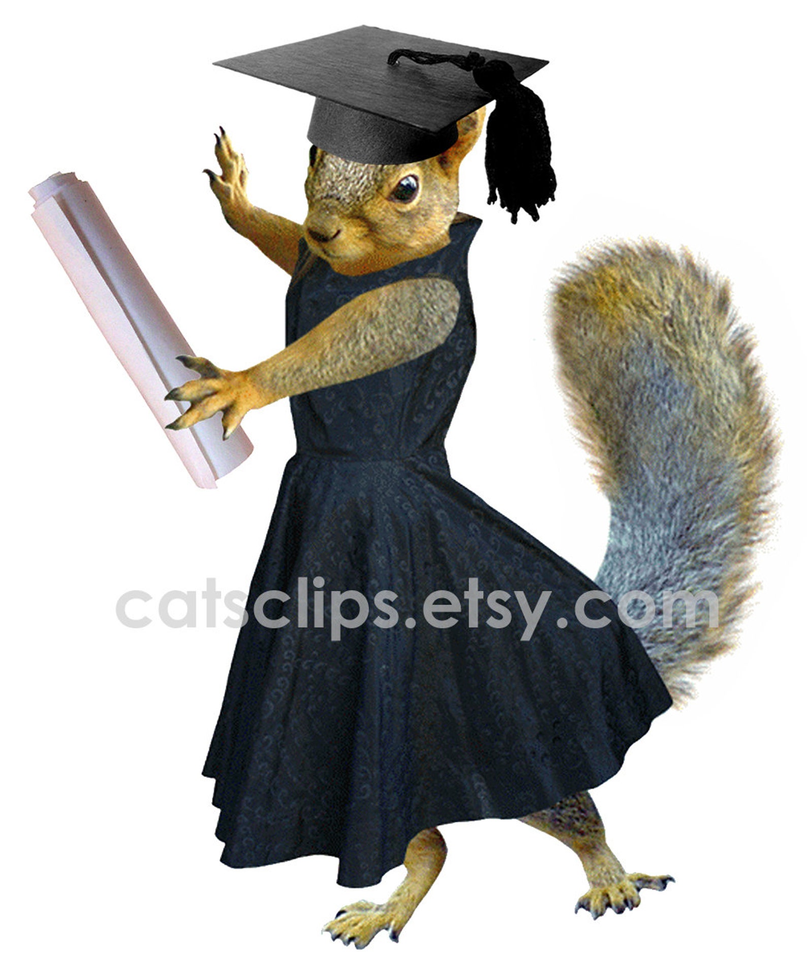 Girl Squirrel Grad Printable Graduation Card | Etsy