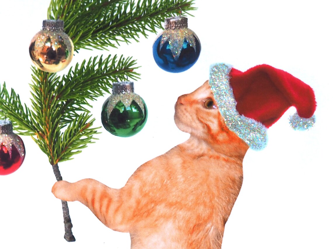 Orange Kitten With Christmas Tree Card Christmas Cat Glitter - Etsy