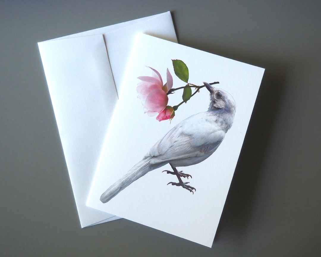 White Jay Card - Etsy