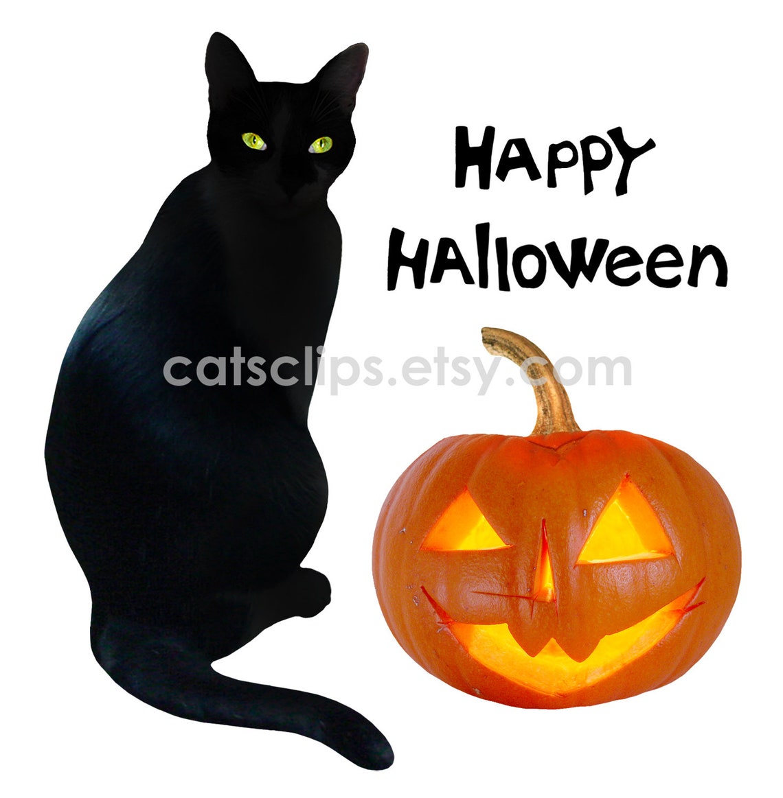 Black Cat With Jack-o-lantern Printable Halloween Card - Etsy