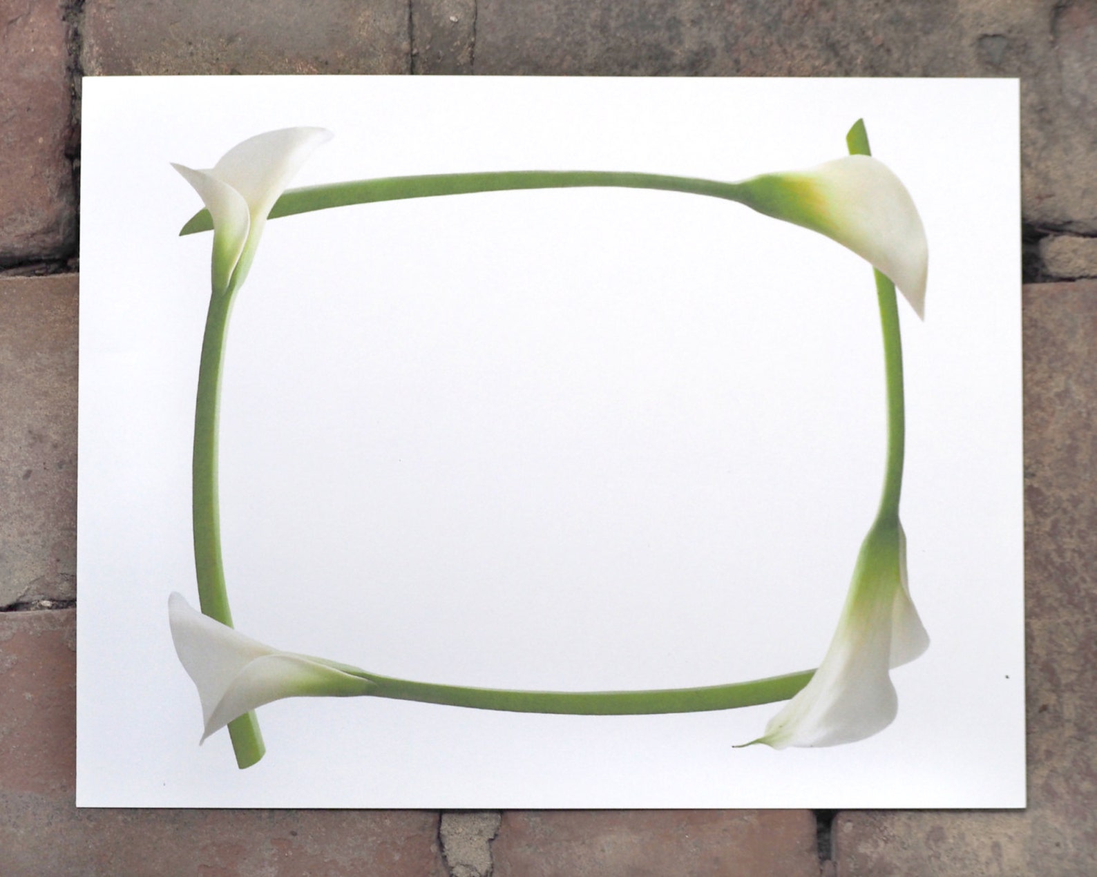 Calla Lily Printable Border, Floral Frame (digital Download) - Etsy