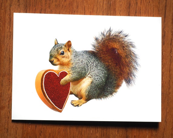 Ardilla con Candy Box Tarjeta de San Valentín Ardilla con - Etsy España