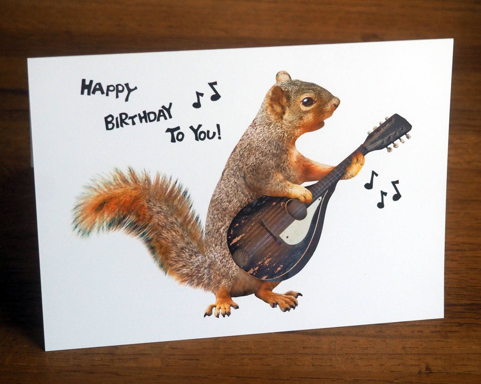 Squirrel Playing Mandolin Birthday Card - Etsy