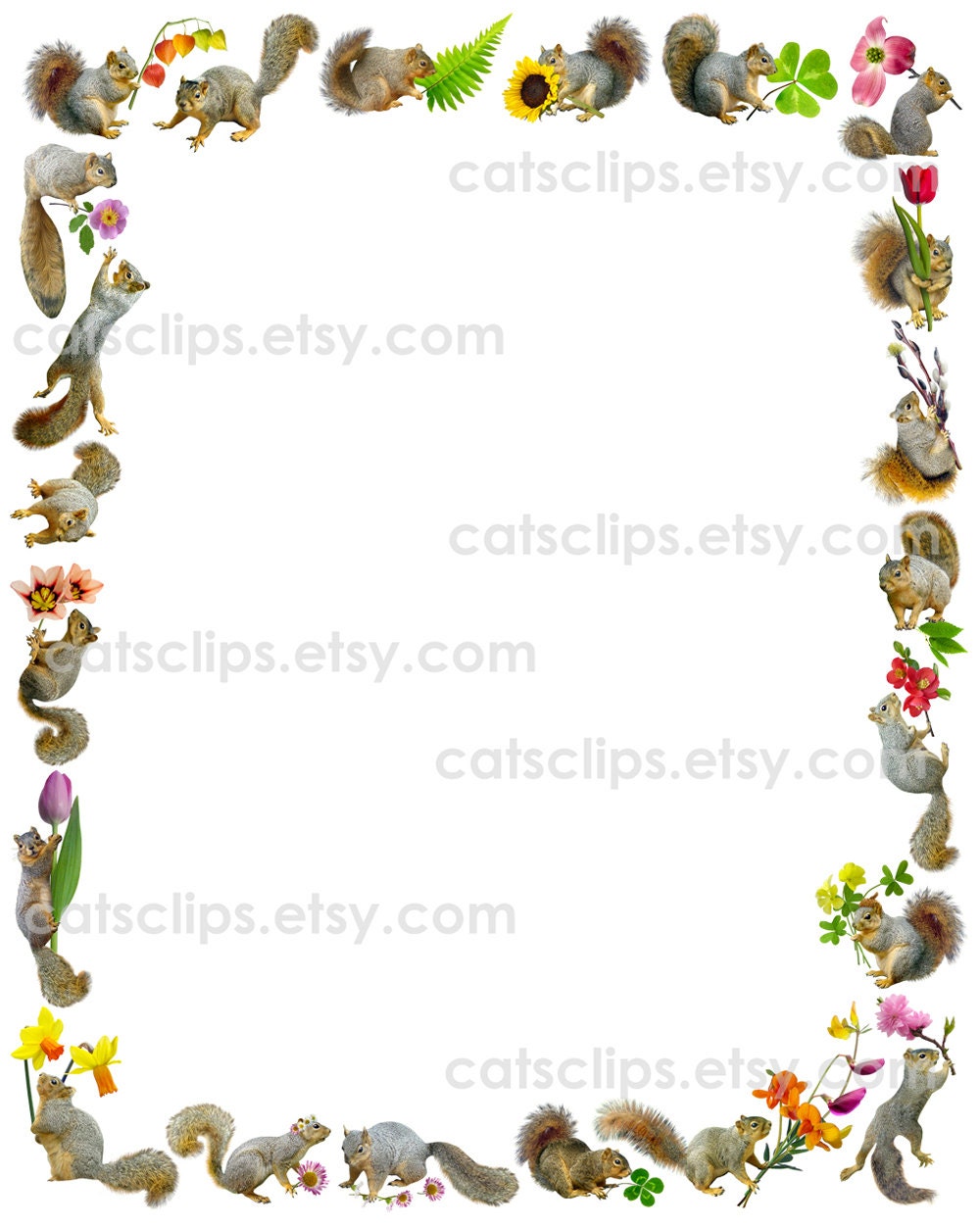 Squirrels With Flowers Digital Border, Printable Squirrel Border - Etsy
