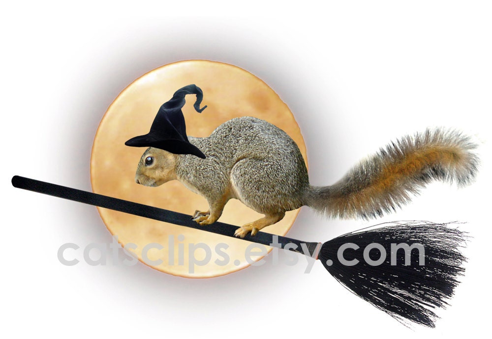 Witch Squirrel Moon Printable Halloween Card - Etsy