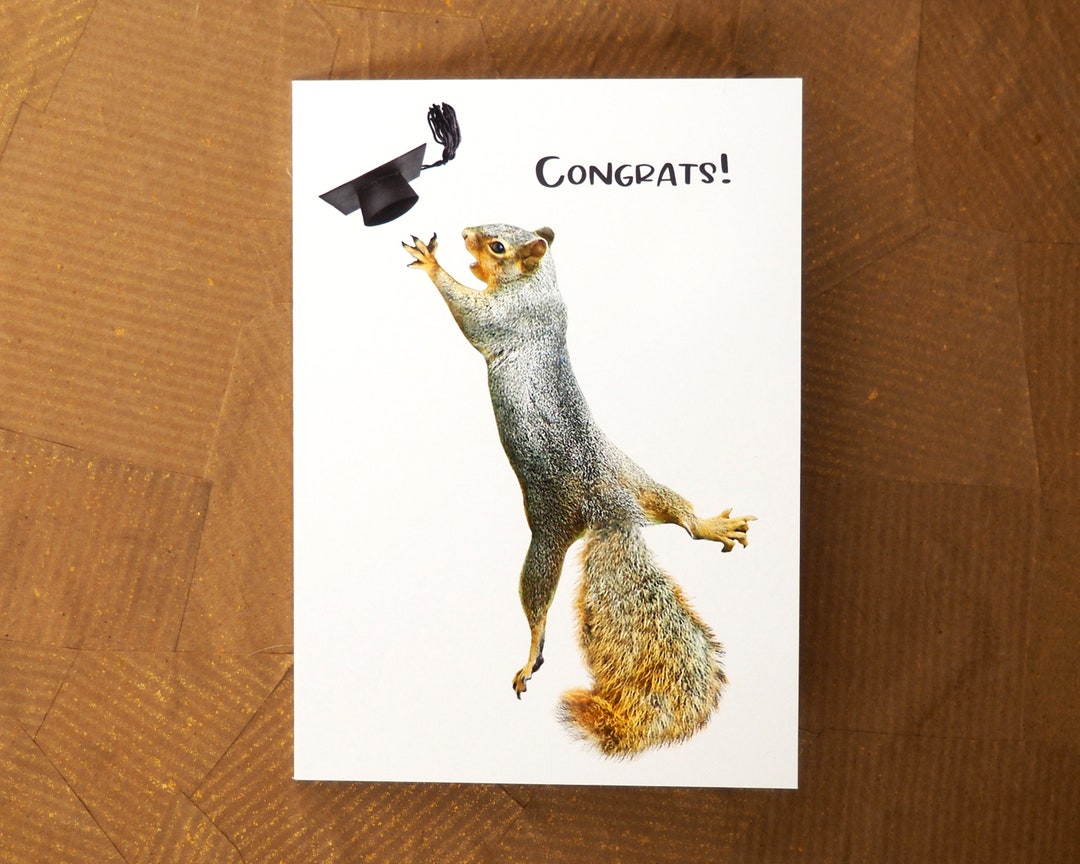 Dancing Squirrel Graduation Card - Etsy