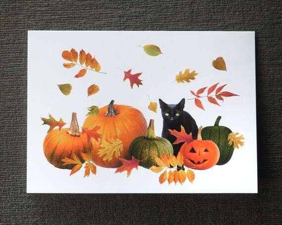 Black Cat With Leaves and Pumpkins Fall Card Halloween Cat | Etsy