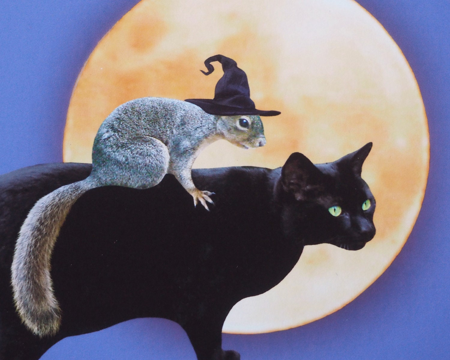Witch Squirrel on Cat Halloween Card - Etsy