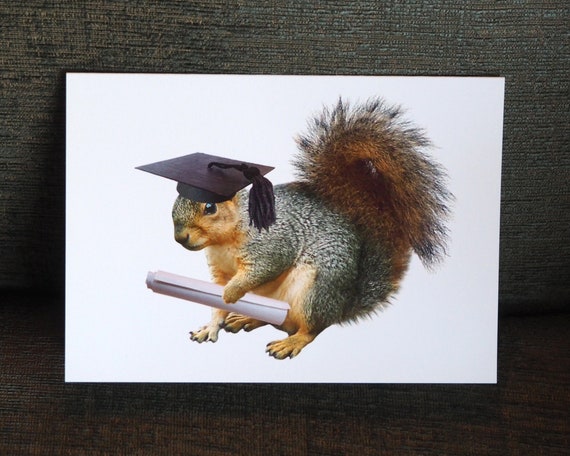 Squirrel Graduation Card | Etsy