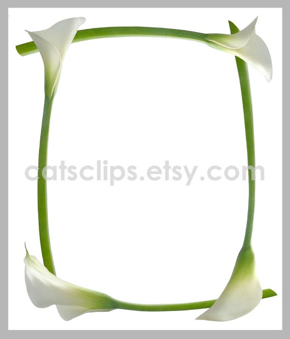 Paper Calla Lily Border