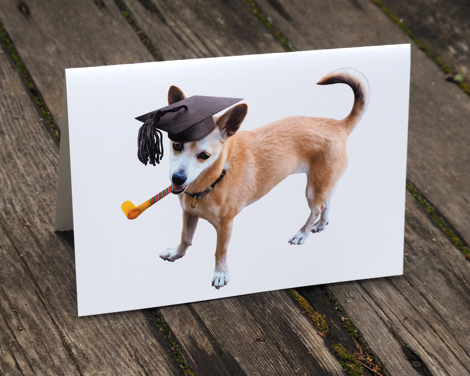 Printable Dog Graduation Card - Etsy
